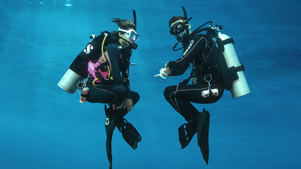 scuba octopus – scuba diving cancun & riviera maya